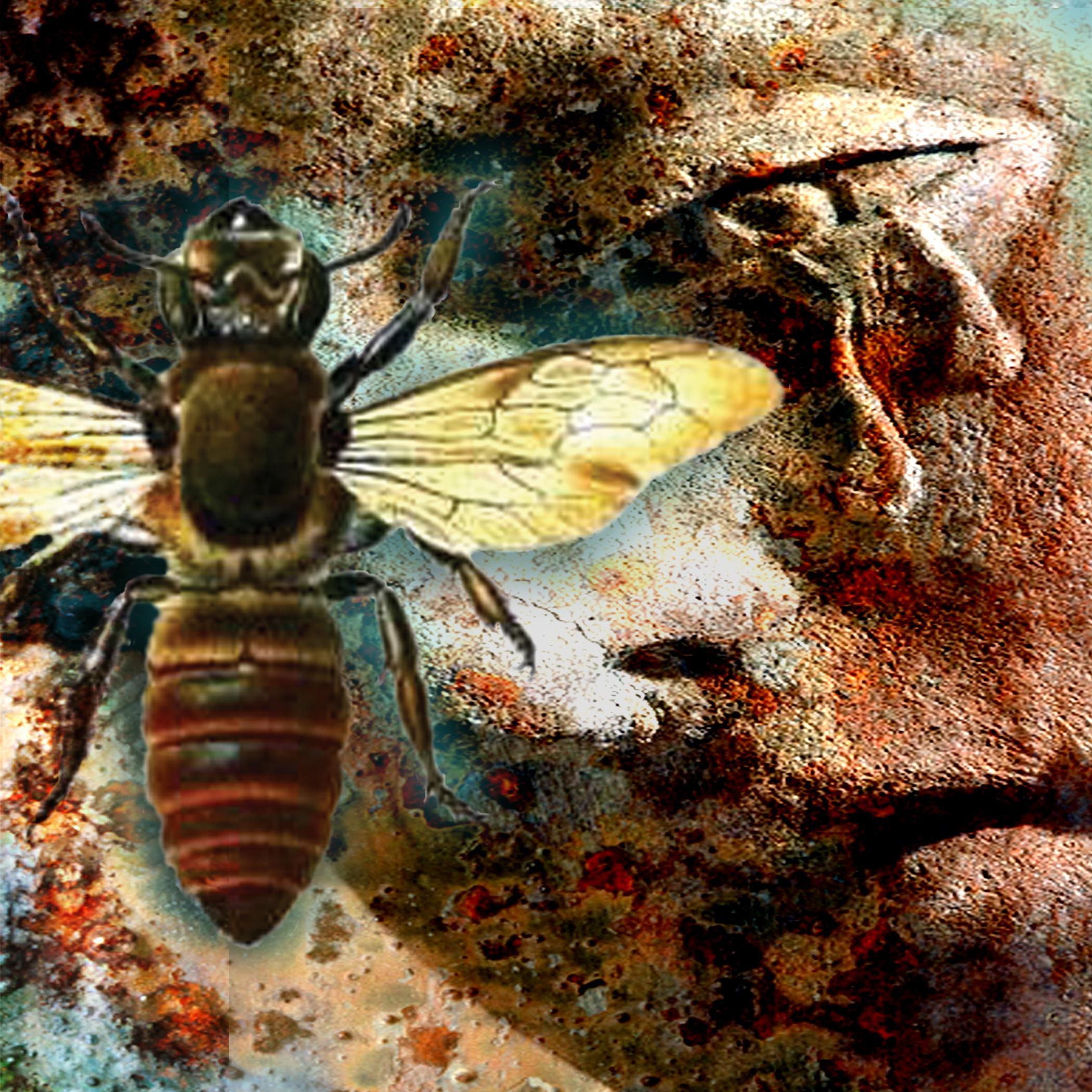 Cover Stories: Fabulist Art by Adam Myers > The Fabulist Words & Art