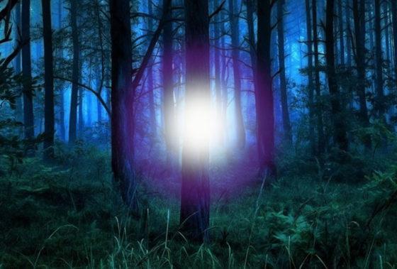 A Field Guide to the Ethereal Spectrum of Night > The Fabulist Words & Art