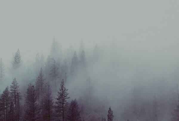 Kazti Girls > The Fabulist Words & Art