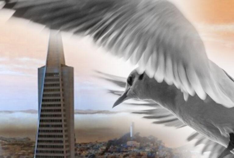 ZaZu Flies > The Fabulist Words & Art